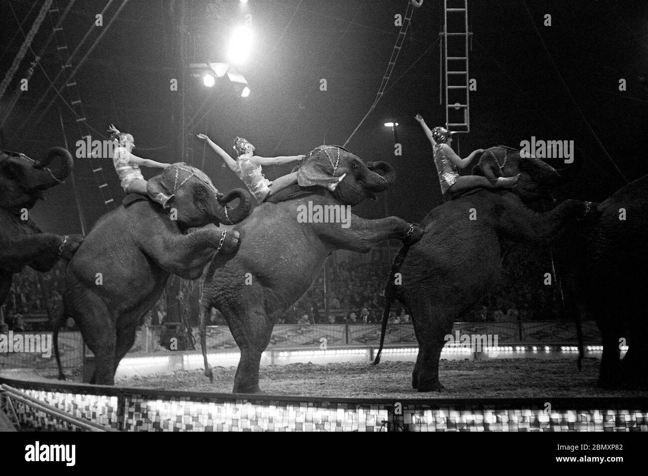 Billy Smarts Circus High Resolution Stock Photography and Images - Alamy