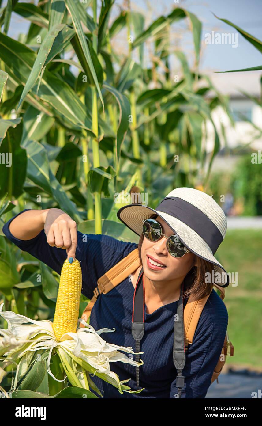 A woman holding the corn at the show in the farm Stock Photo - Alamy