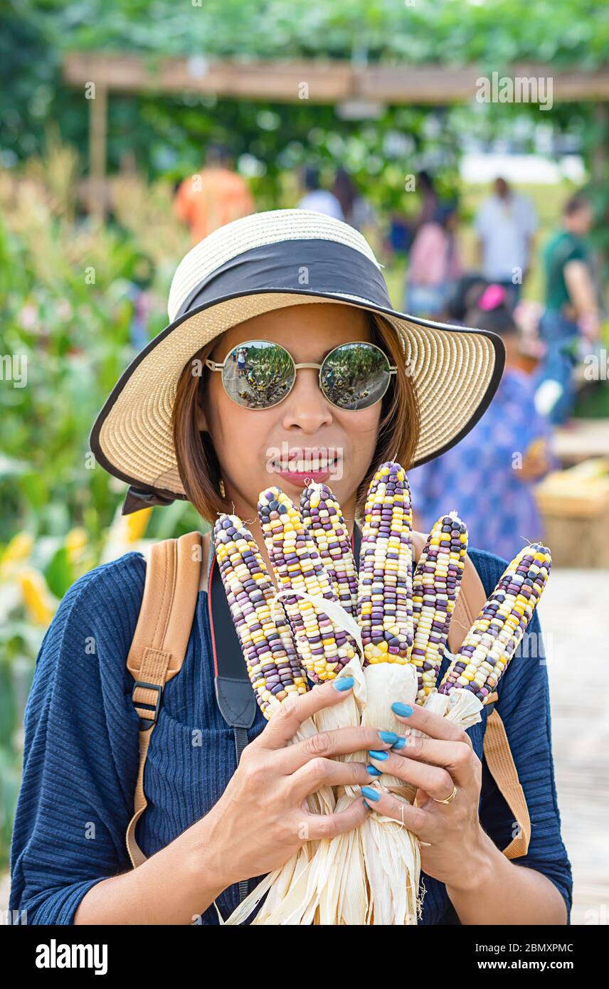 A woman holding the corn at the show in the farm Stock Photo - Alamy