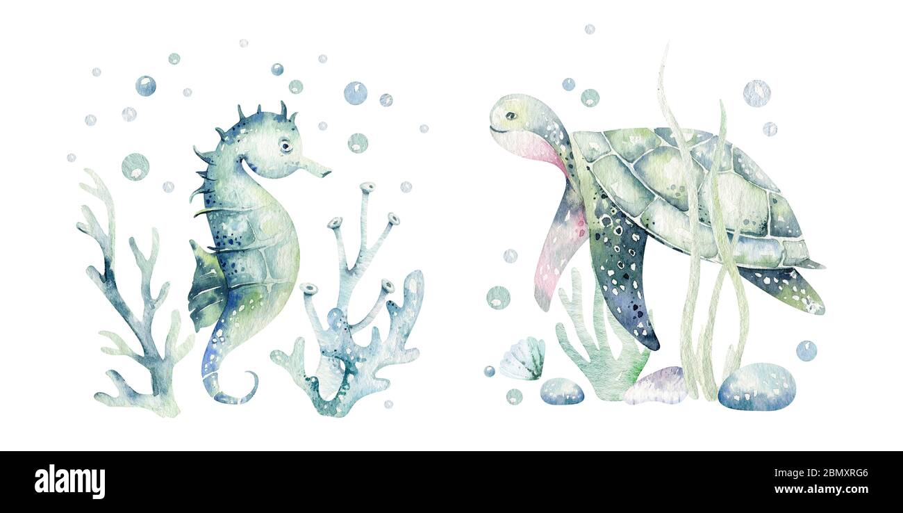 Set of sea animals. Blue watercolor ocean fish, turtle, whale and coral ...