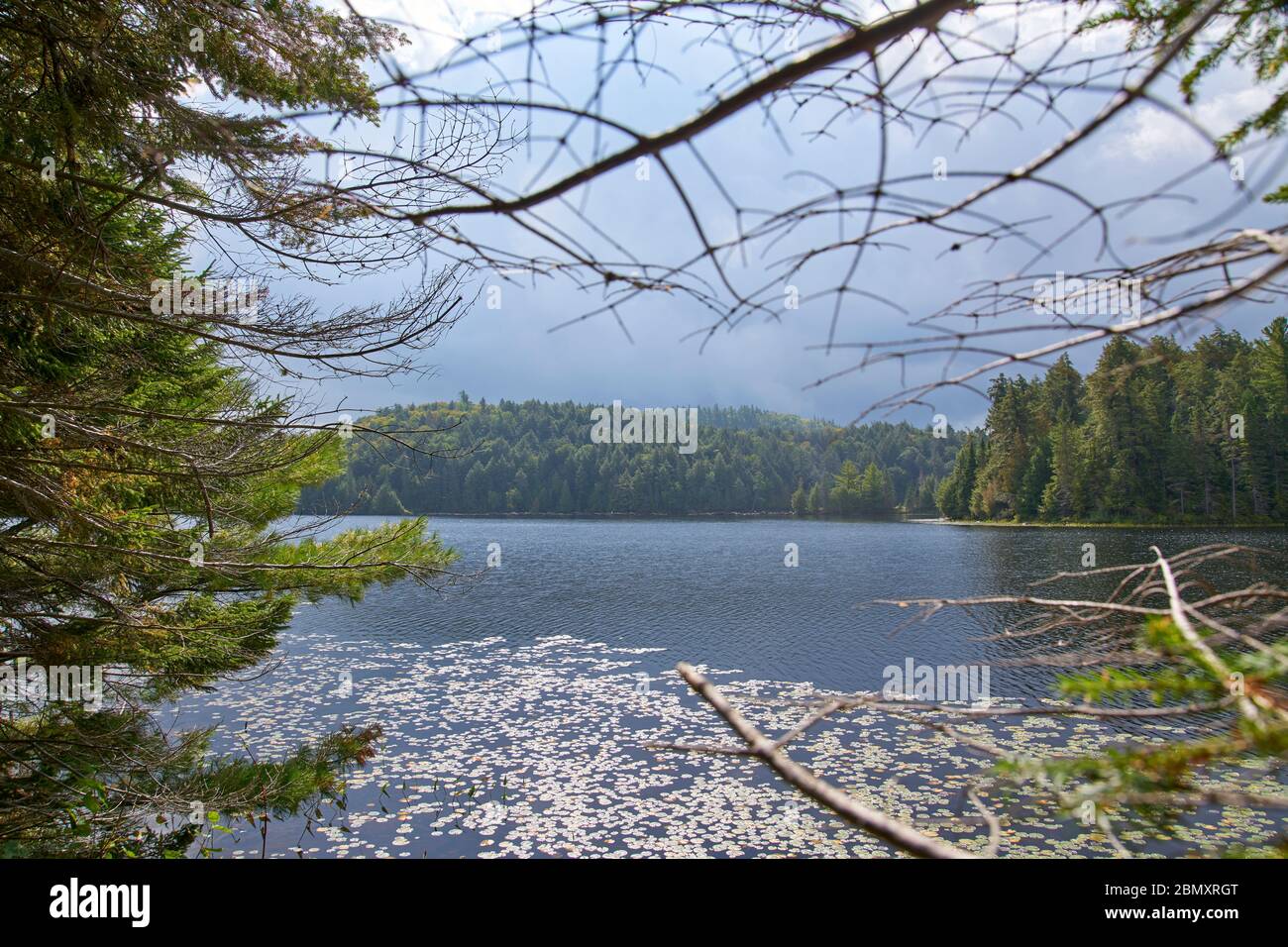 Great Wide Wonder High Resolution Stock Photography and Images - Alamy