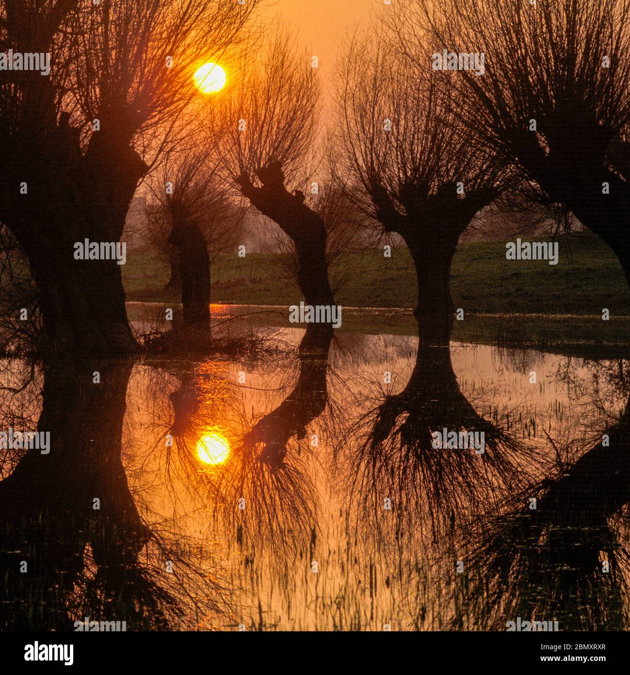 Niederrhein landschaft hi-res stock photography and images - Alamy