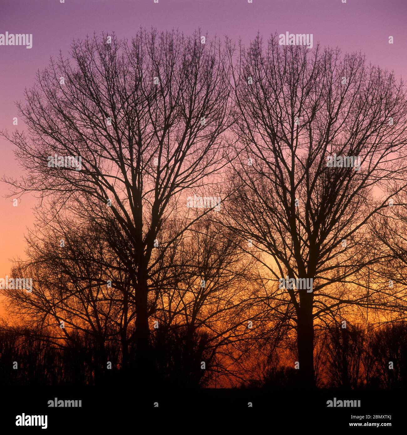 Wittlaer hi-res stock photography and images - Alamy