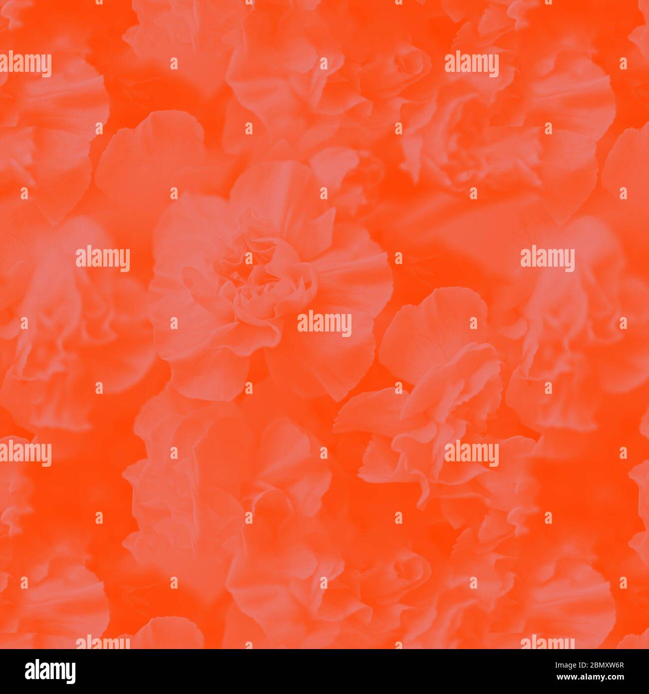 Floral gradient background, carnation flowers pattern. Orange lush lava ...