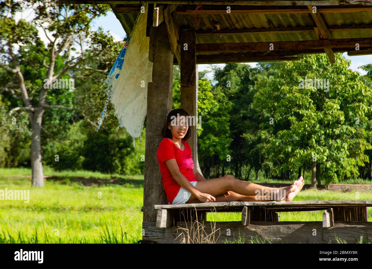 A woman sitting on a wooden shack in the rice field Stock Photo - Alamy