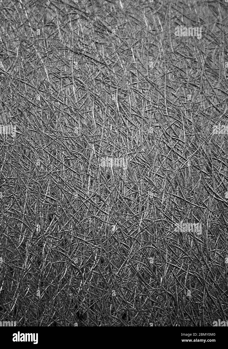gray background texture for graphic design and web design Stock Photo ...
