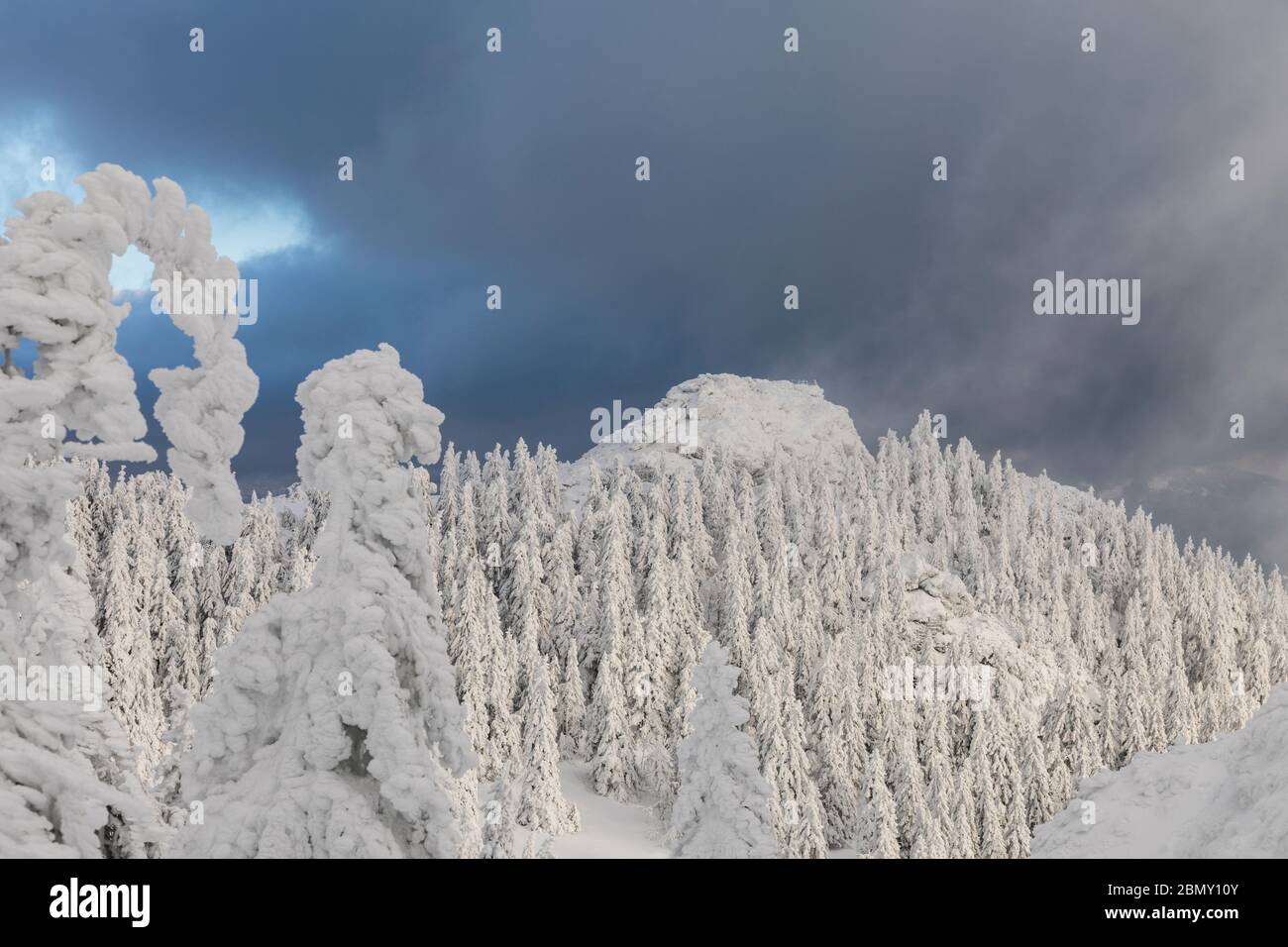 Arber winter hi-res stock photography and images - Alamy