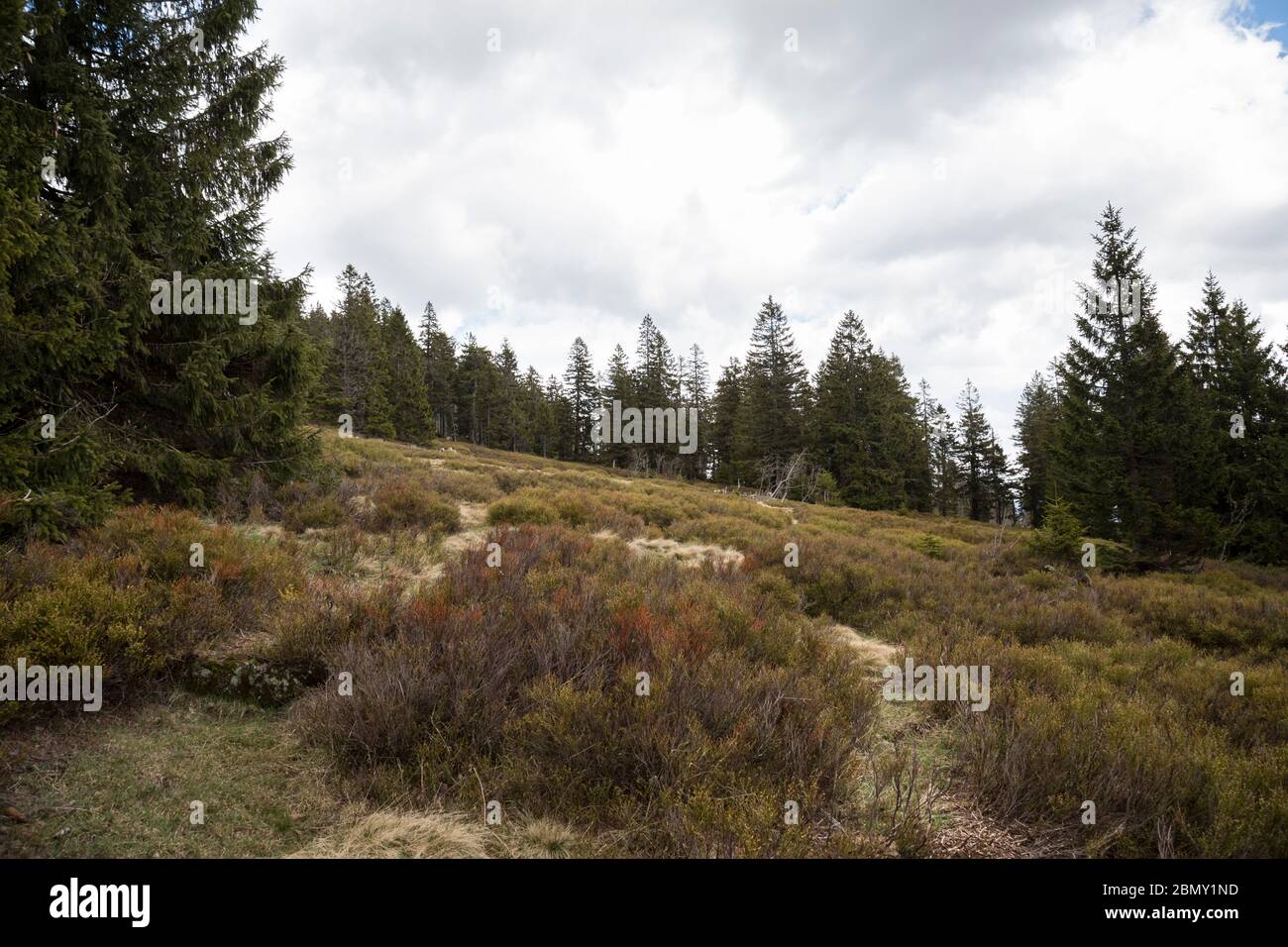 Oberer hi-res stock photography and images - Alamy