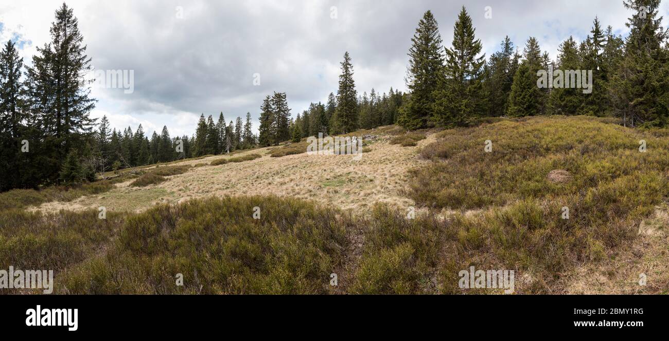 Oberer hi-res stock photography and images - Alamy