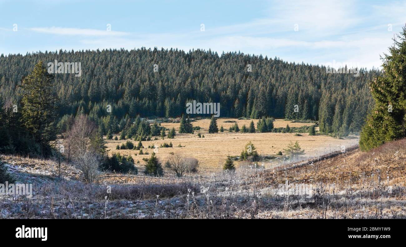 Landschaft im Boehmerwald Stock Photo - Alamy