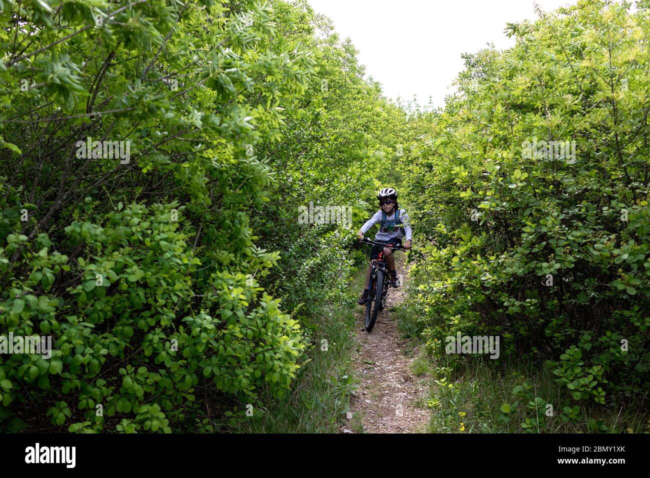 Boy bush hi-res stock photography and images - Alamy