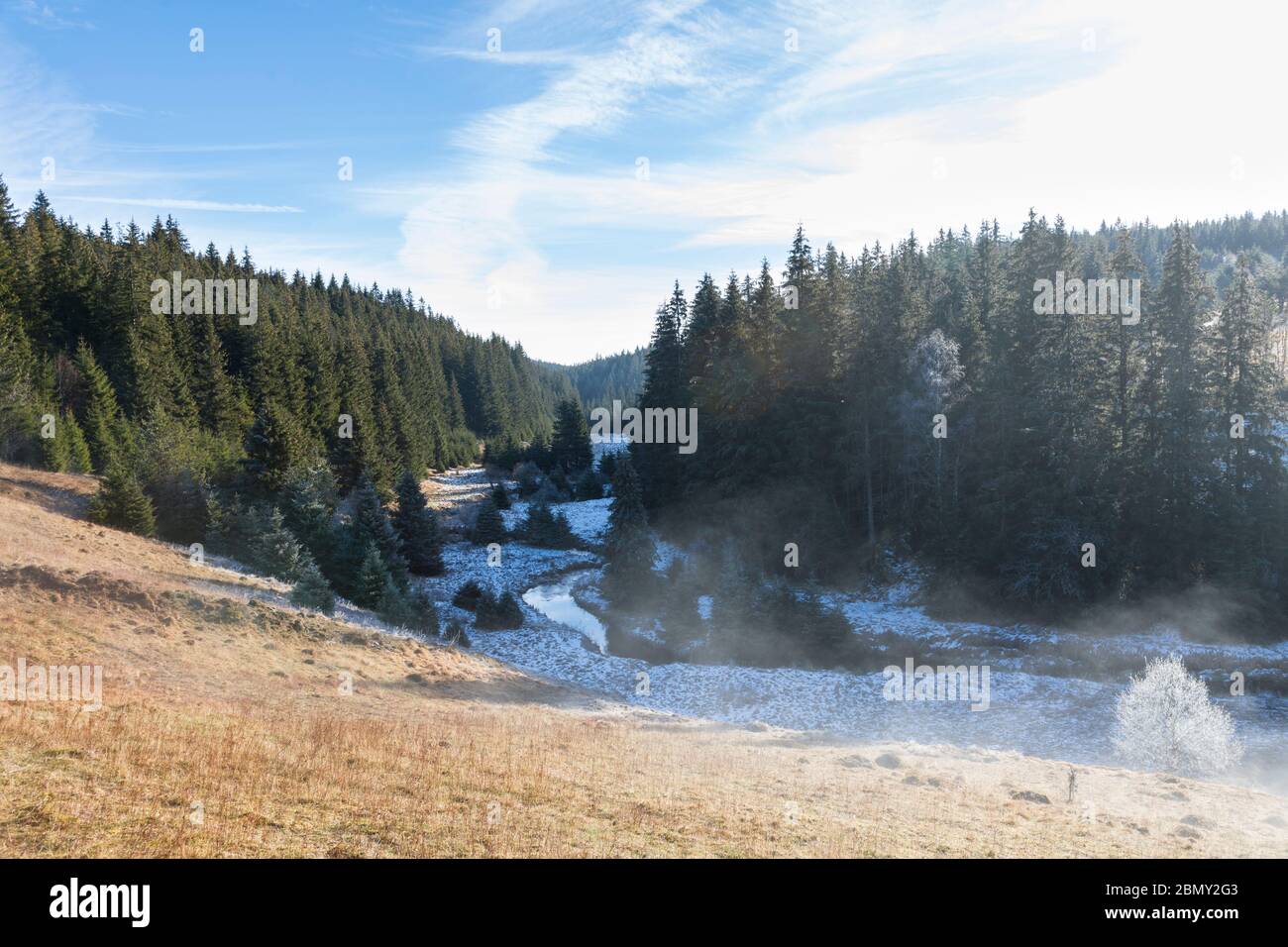 Bachlauf im Boehmerwald Stock Photo - Alamy