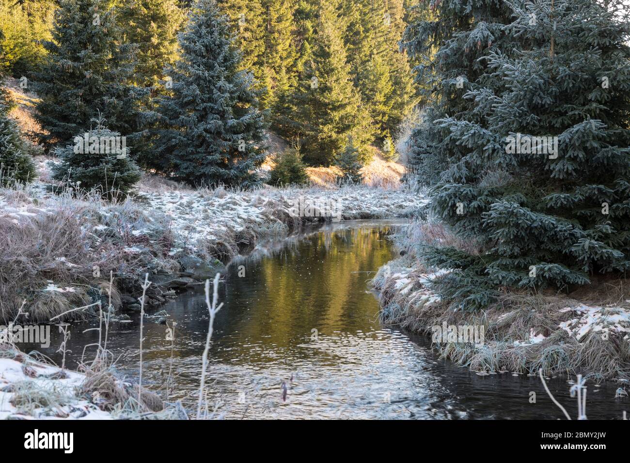 Bachlauf im Boehmerwald Stock Photo - Alamy