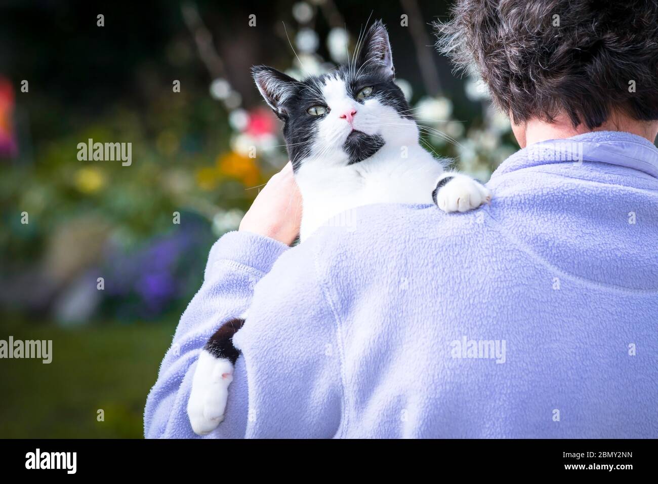 Close up cat on the woman shoulder at the garden Stock Photo - Alamy