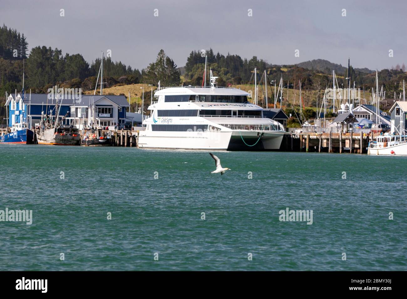 Okiato new zealand hi-res stock photography and images - Alamy