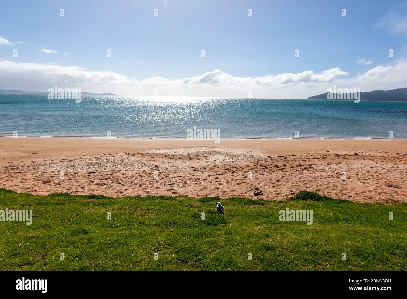 Beach in Cable Bay, New Zealand Stock Photo - Alamy