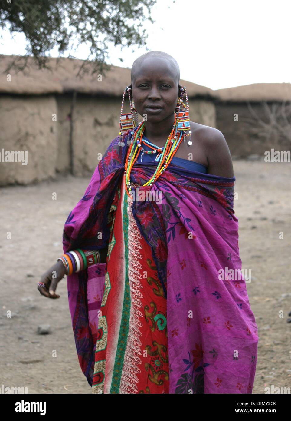 Masai woman. Beautiful shaven headed Masai woman wearing traditional ...