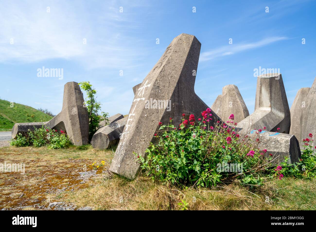 Dolos hi-res stock photography and images - Alamy