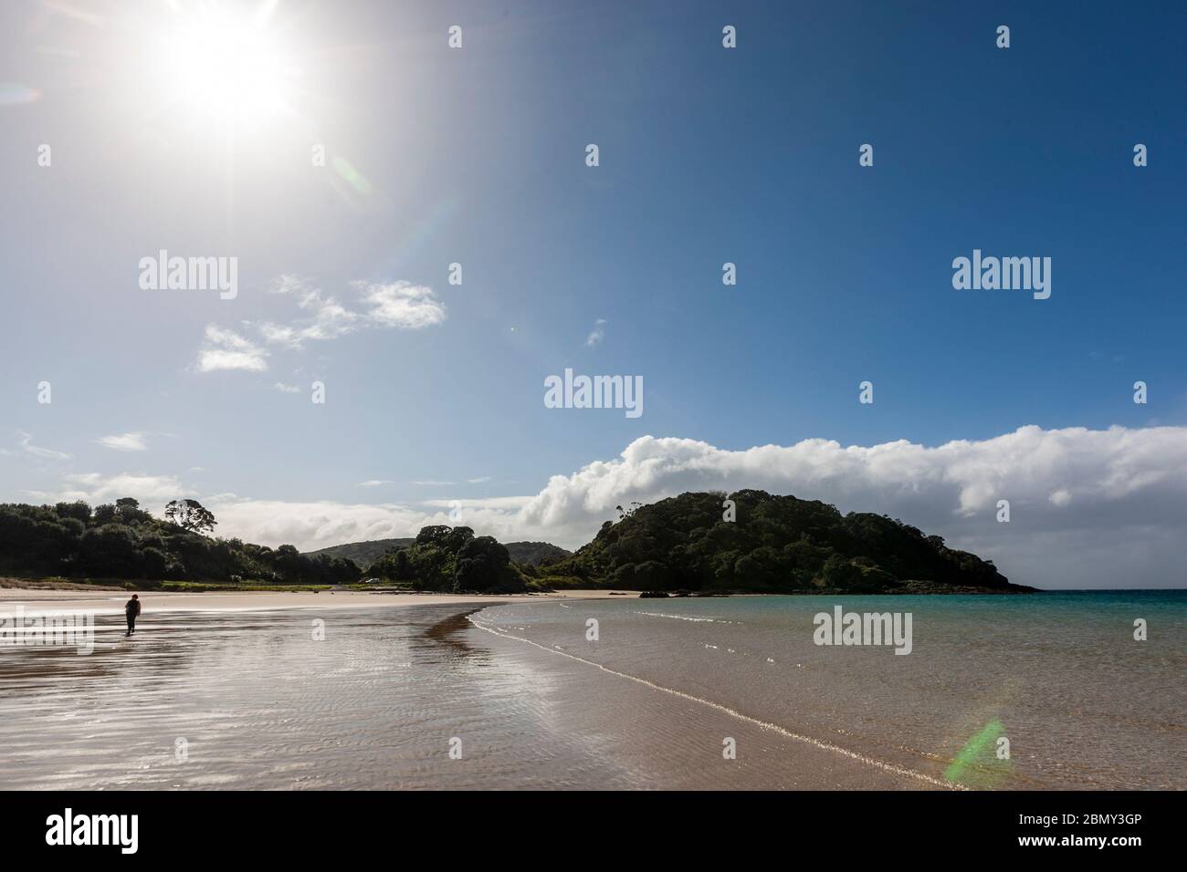 Matai bay new zealand hi-res stock photography and images - Alamy