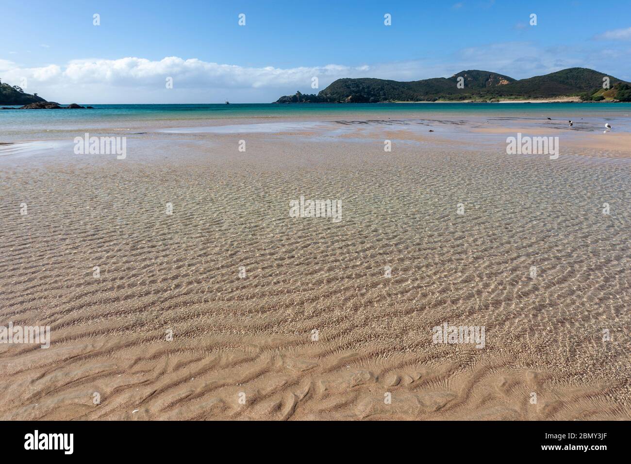 Matai Beach, Waikato Bay, Karikari Peninsula, New Zealand Stock Photo ...