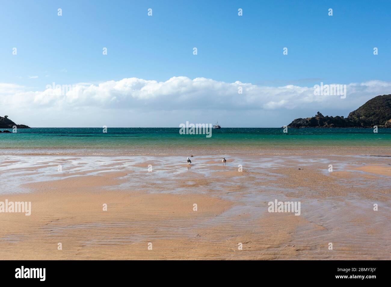 Matai bay new zealand hi-res stock photography and images - Alamy