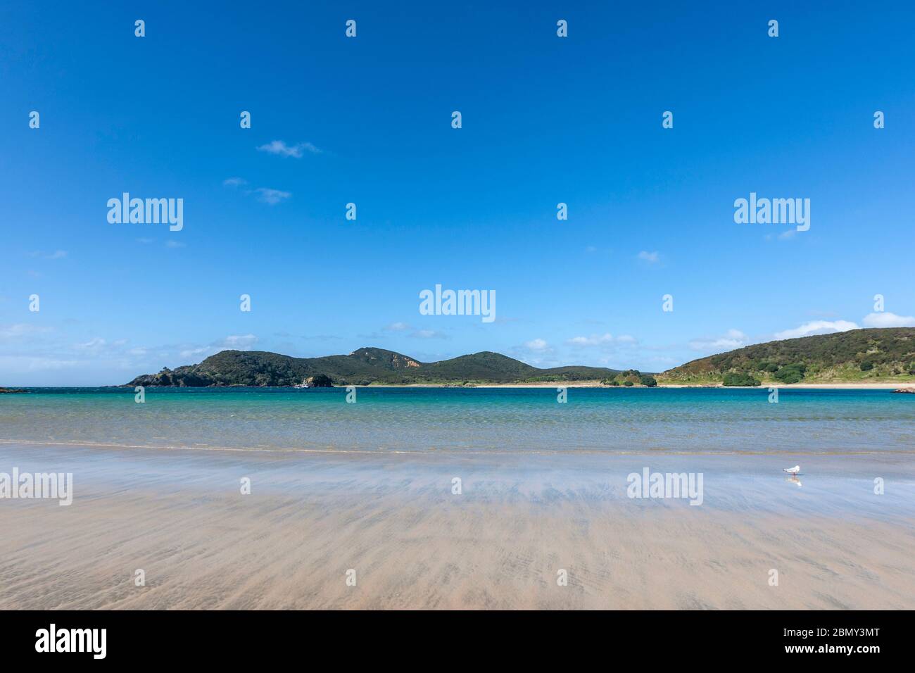 Matai Beach, Waikato Bay, Karikari Peninsula, New Zealand Stock Photo ...