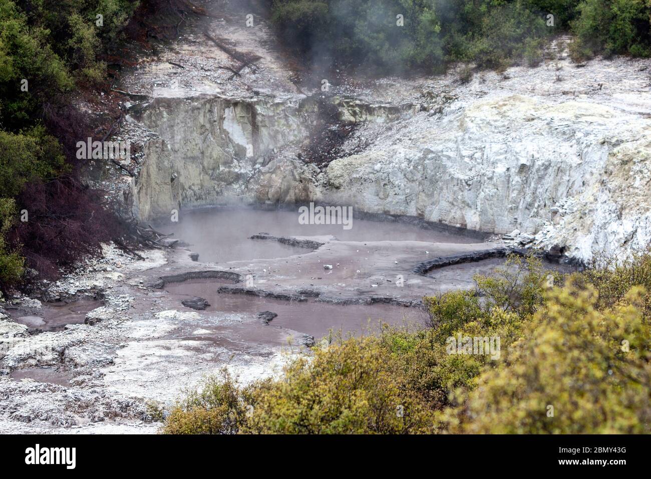 Wai-O-Tapu, Reporoa caldera, in New Zealand's Taupo Volcanic Zone Stock ...