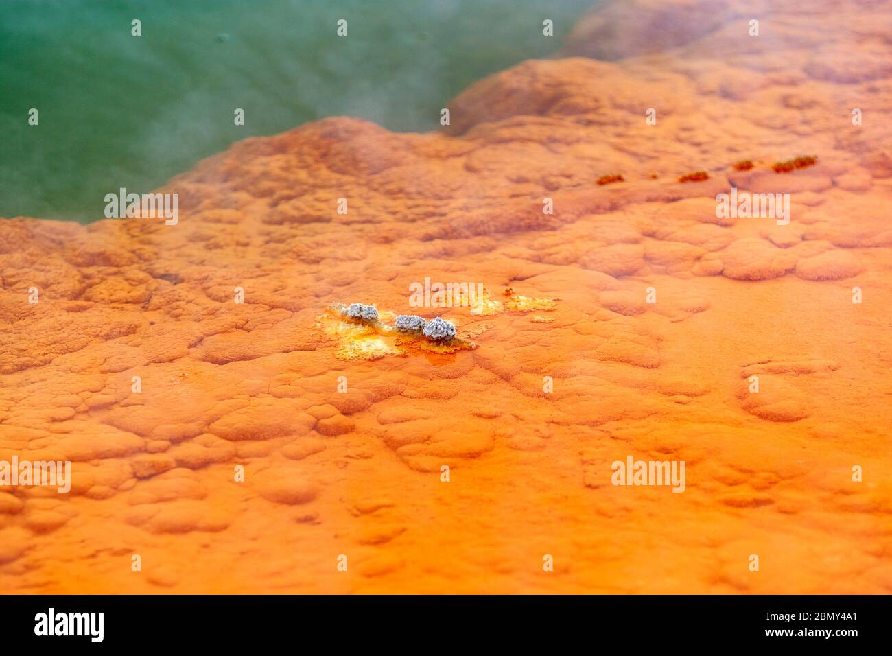 Champagne Pool, Wai-O-Tapu, Reporoa caldera, in New Zealand's Taupo ...