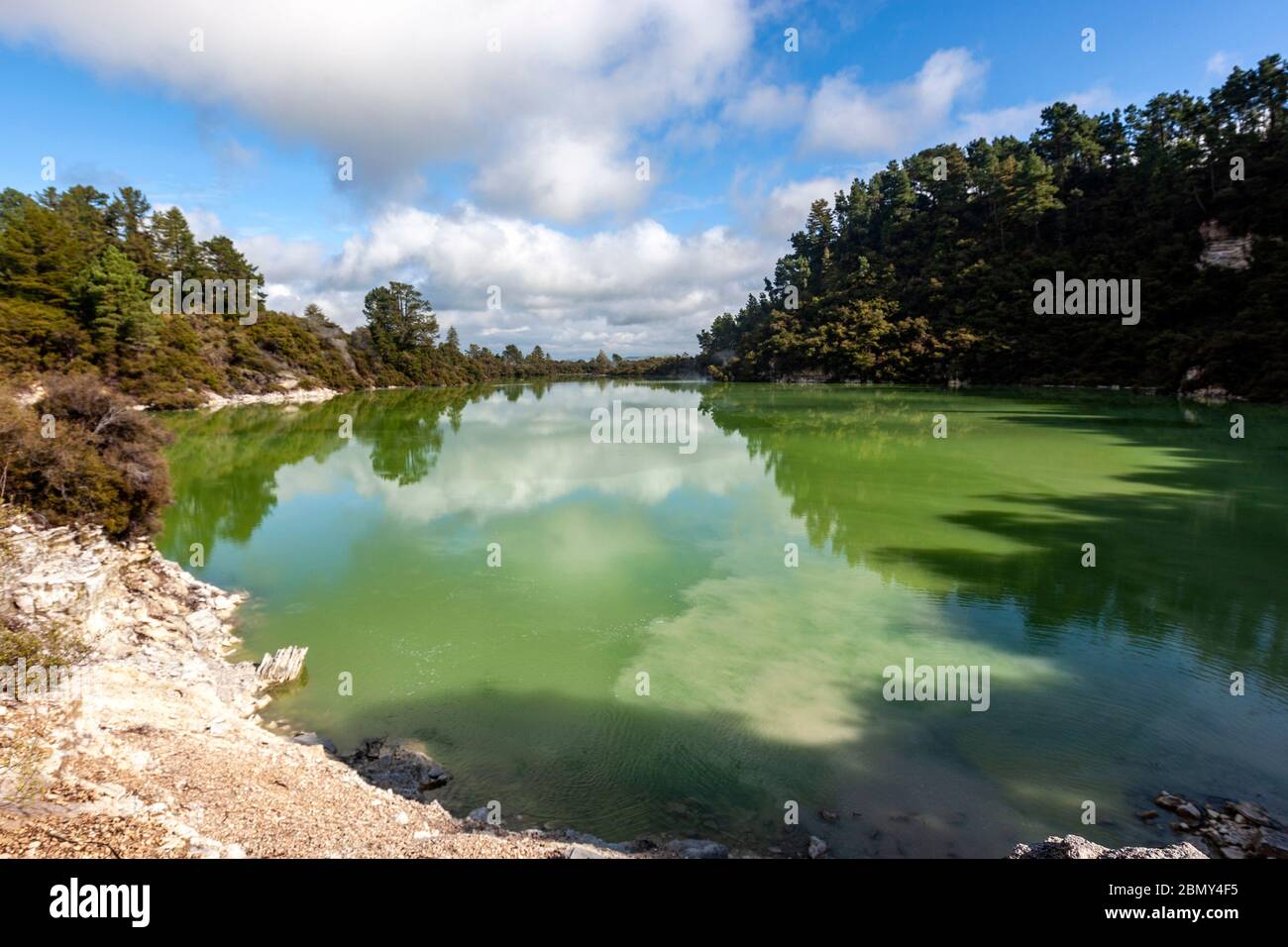 Lake Ngakoro, Wai-O-Tapu, Reporoa caldera, in New Zealand's Taupo ...