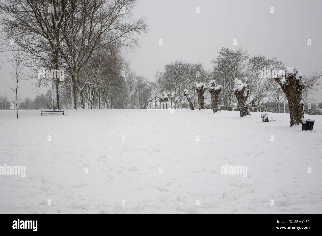 Snowy winter scene snow seasons cold hi-res stock photography and ...