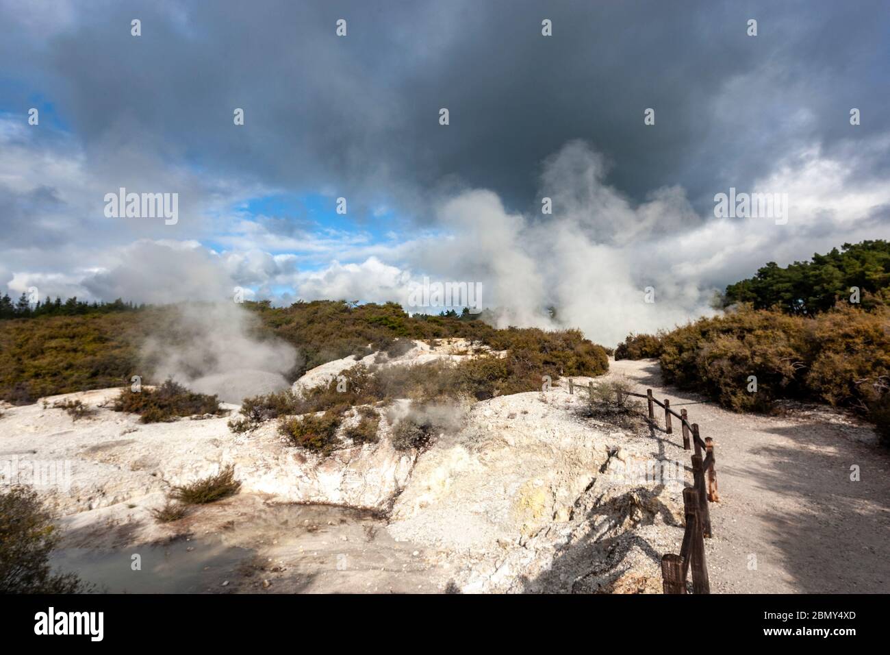 Wai-O-Tapu, Reporoa caldera, in New Zealand's Taupo Volcanic Zone Stock ...