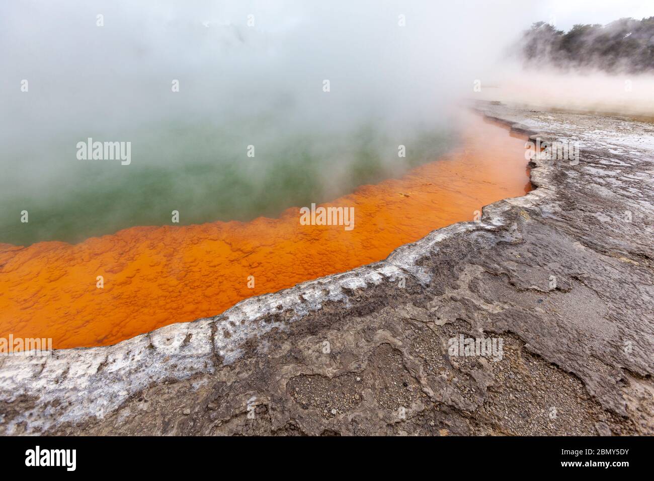 Champagne Pool, Wai-O-Tapu, Reporoa caldera, in New Zealand's Taupo ...