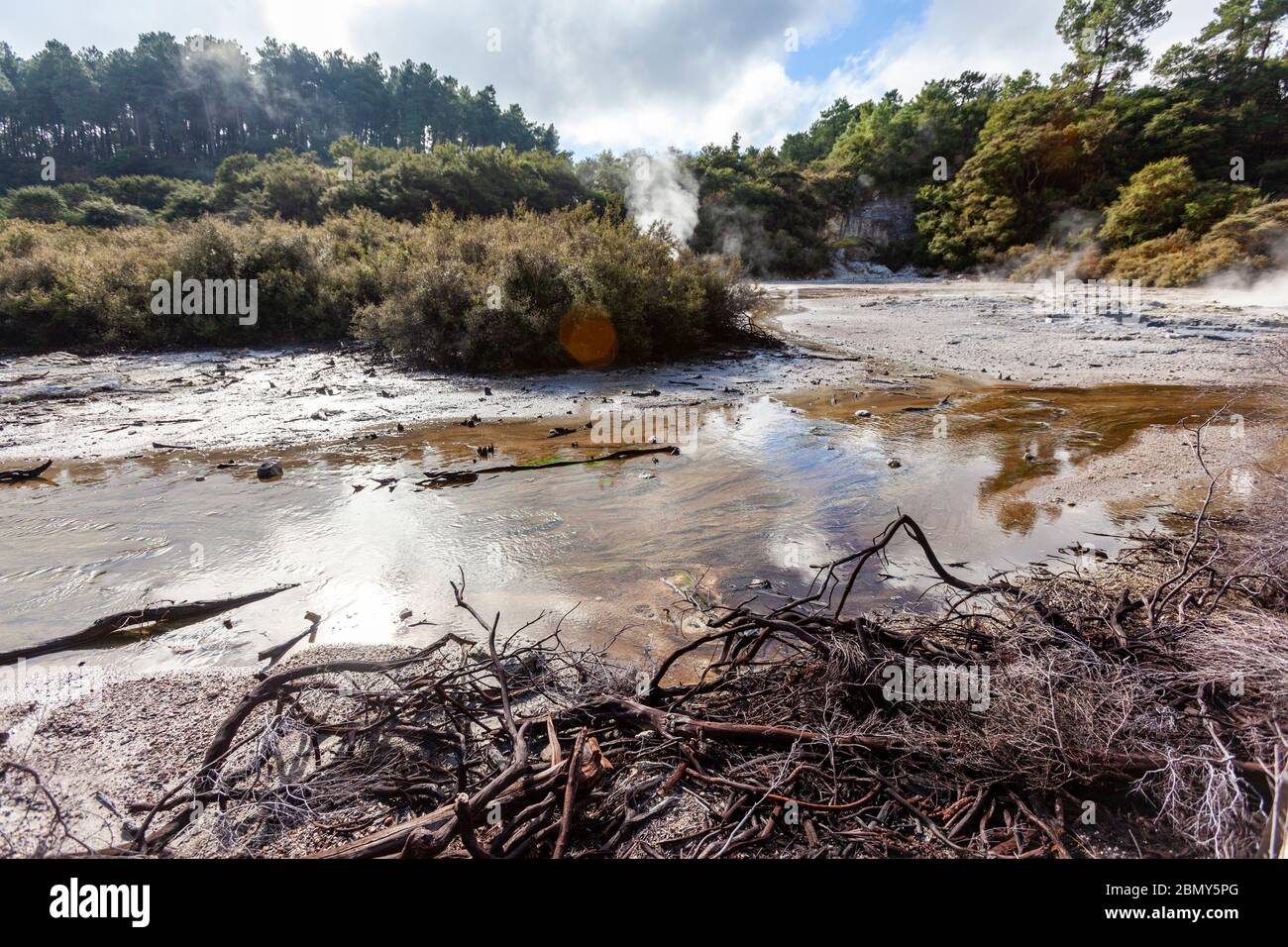 Wai-O-Tapu, Reporoa caldera, in New Zealand's Taupo Volcanic Zone Stock ...