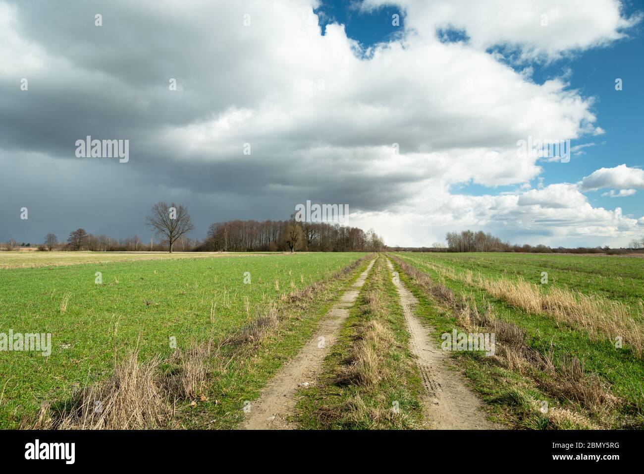 Long dirt road through green fields and clouds on the sky Stock Photo ...
