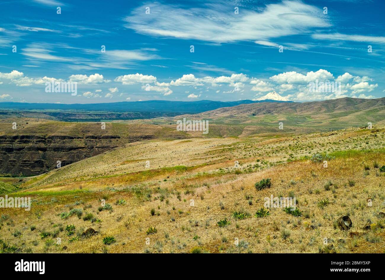 Landscape photo was taken in Central rural Oregon with Mt. Hood located ...