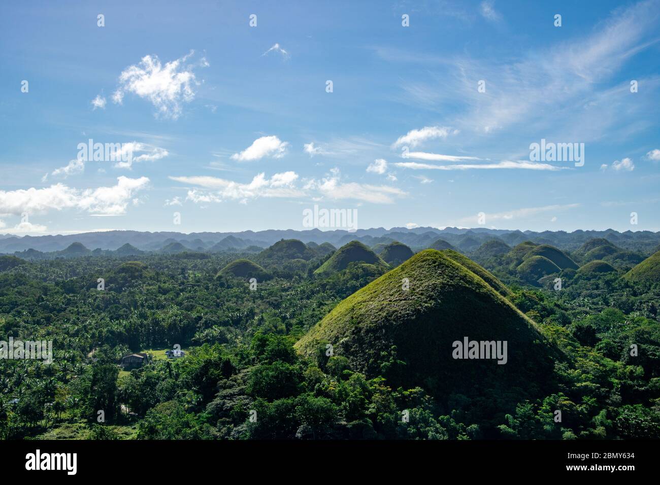Beautiful view of the chocolate hills in Bohol on a sunny morning. This ...