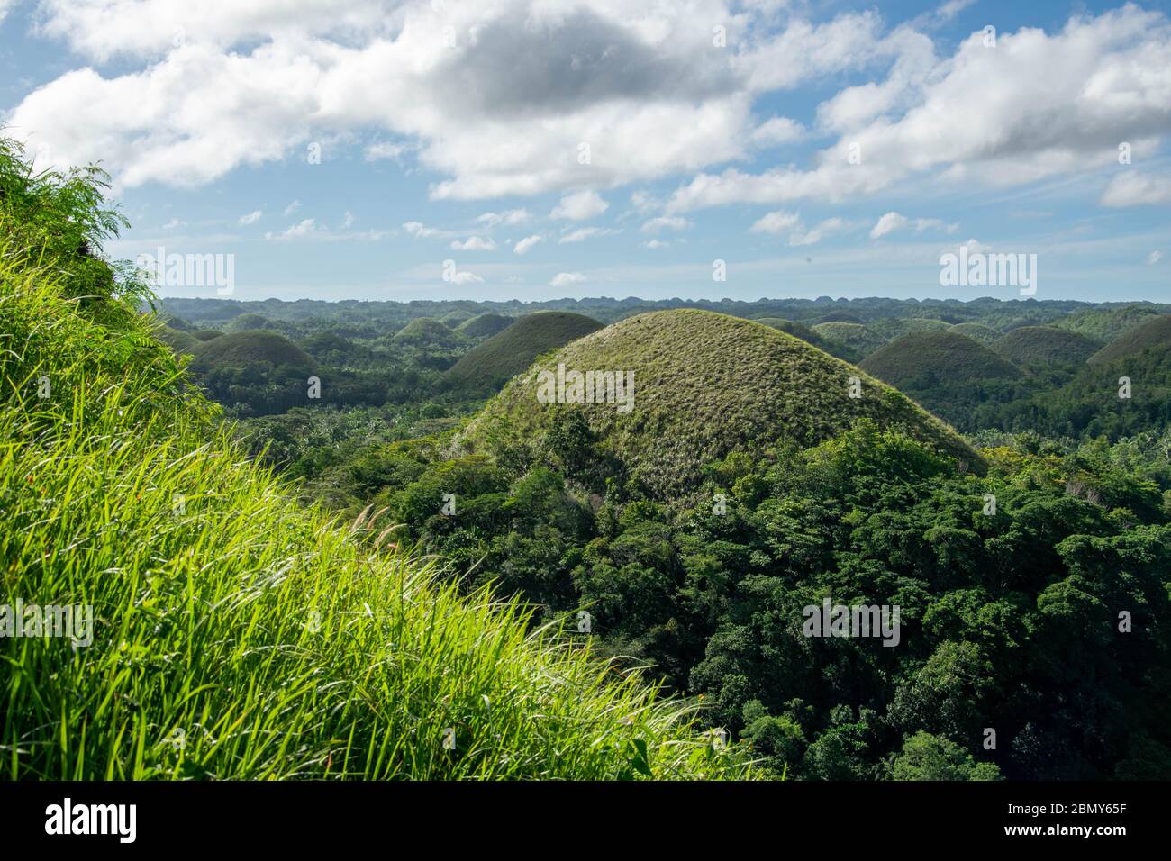 Beautiful view of the chocolate hills in Bohol on a sunny morning. This ...