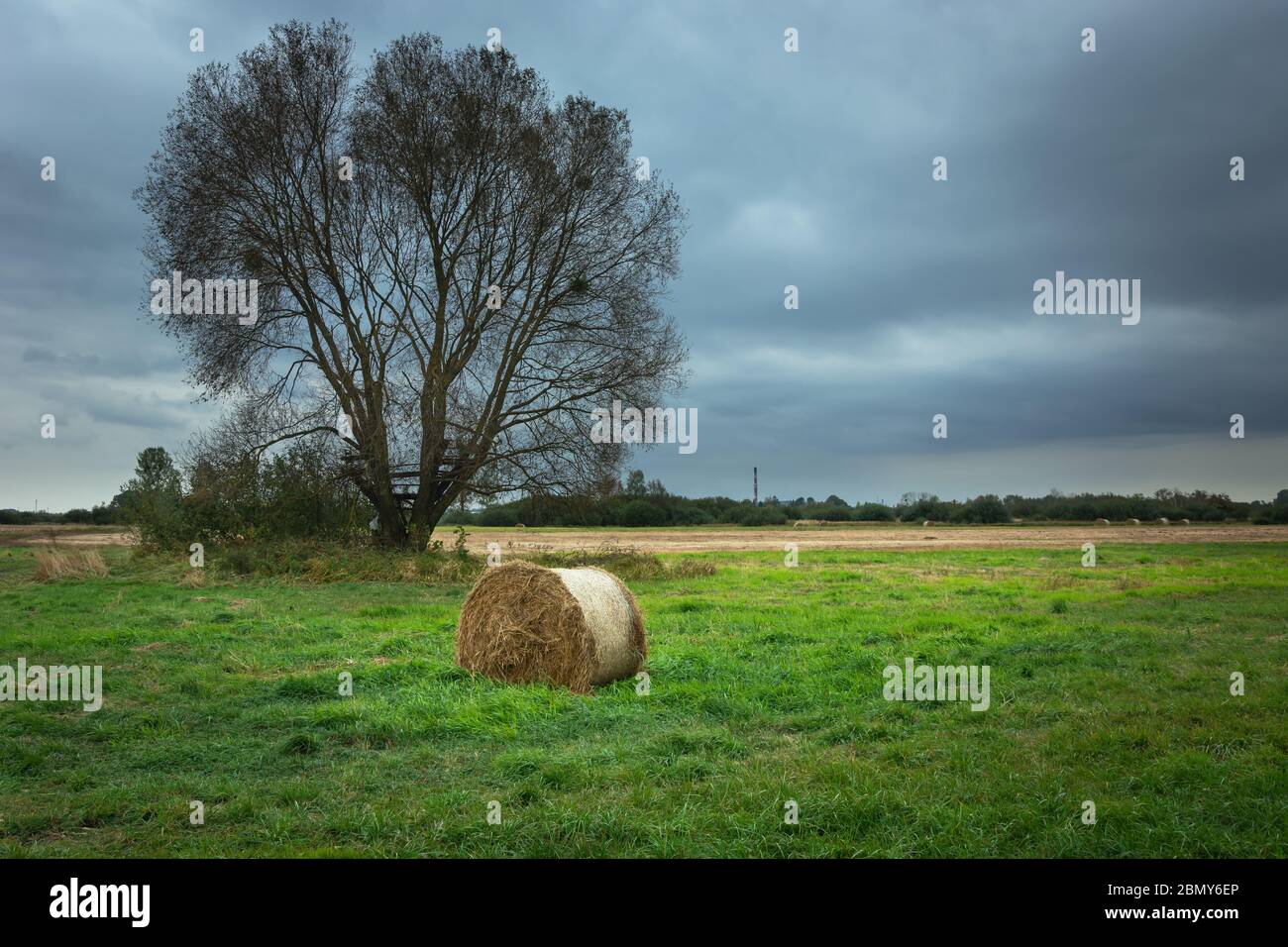 Bale under hi-res stock photography and images - Alamy