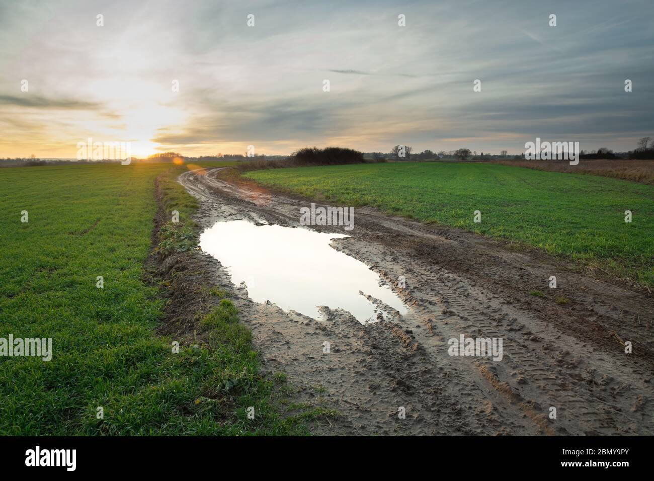 Muddy puddle road after rain hi-res stock photography and images - Alamy