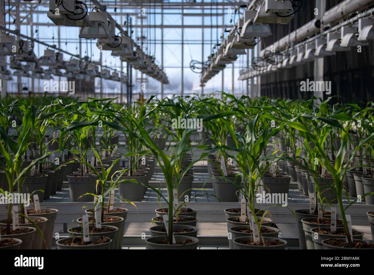 On March 4, 2019, U.S. Secretary of State Michael Pompeo visited the ...