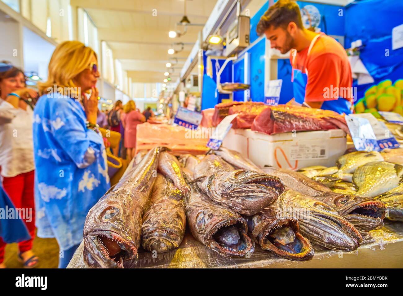 CADIZ, SPAIN - SEPTEMBER 24, 2019: The toothy fresh merluccius fish on ...
