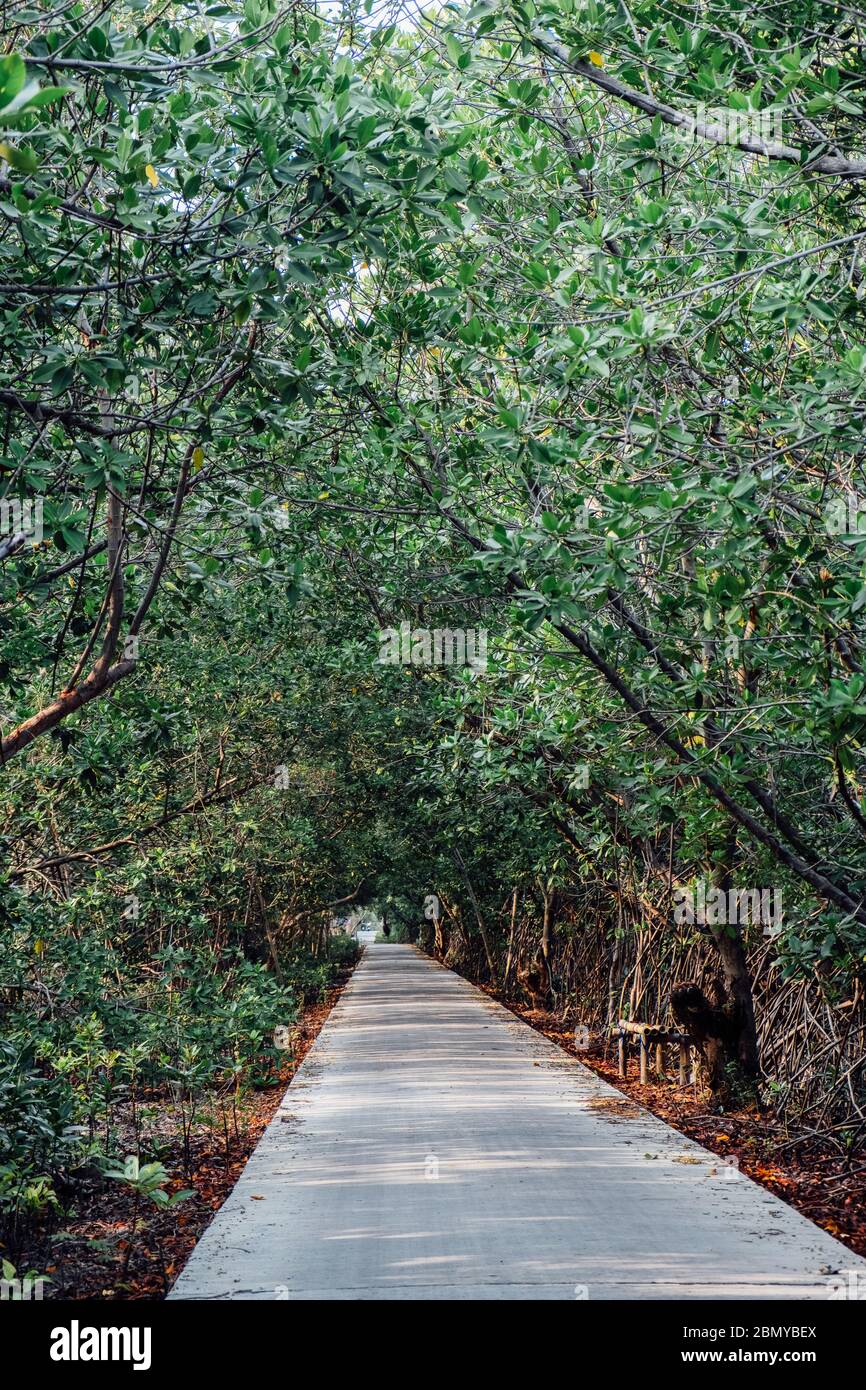 Flourishing oasis hi-res stock photography and images - Alamy