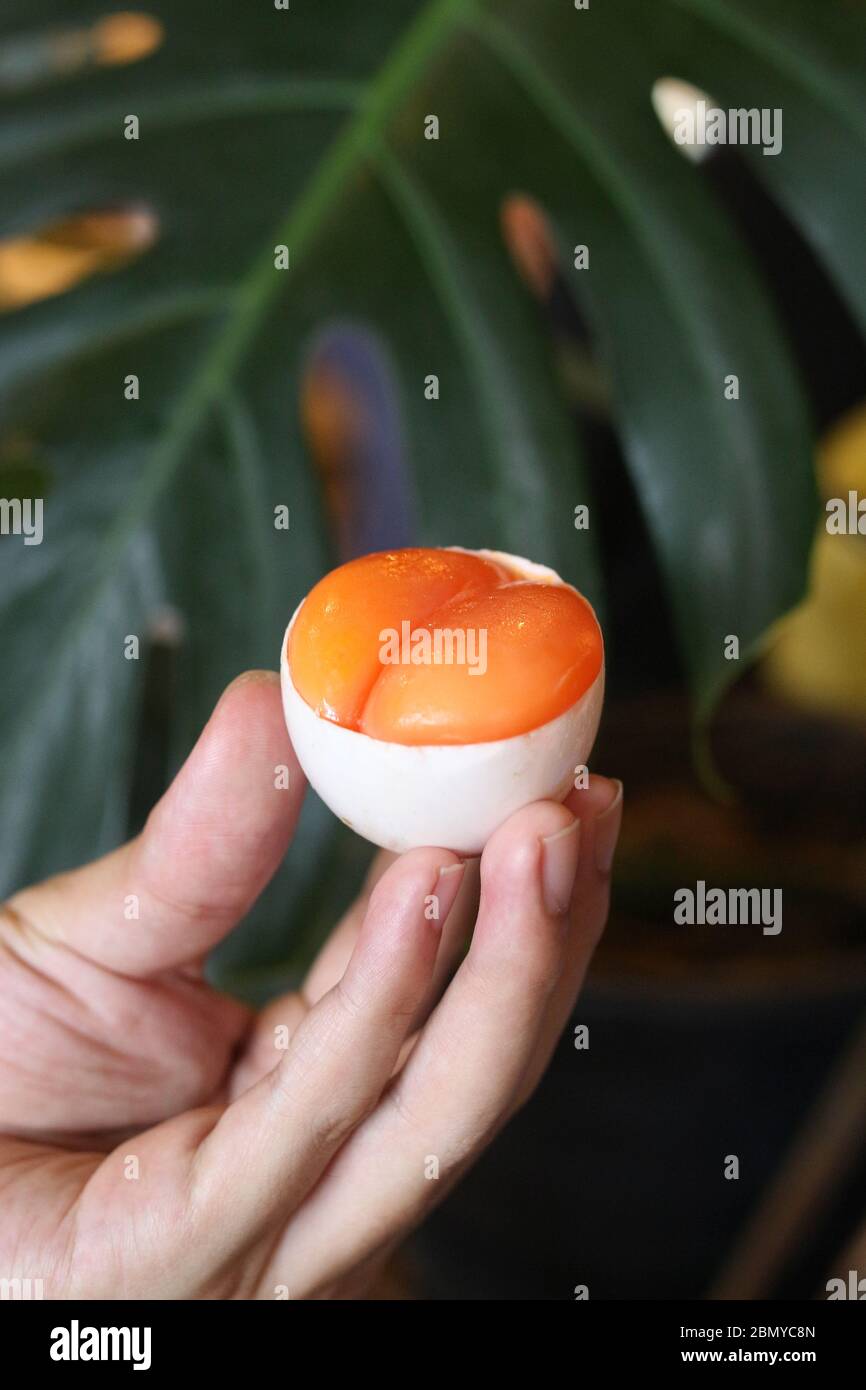 beautiful salted duck egg yolk in a hand Stock Photo - Alamy