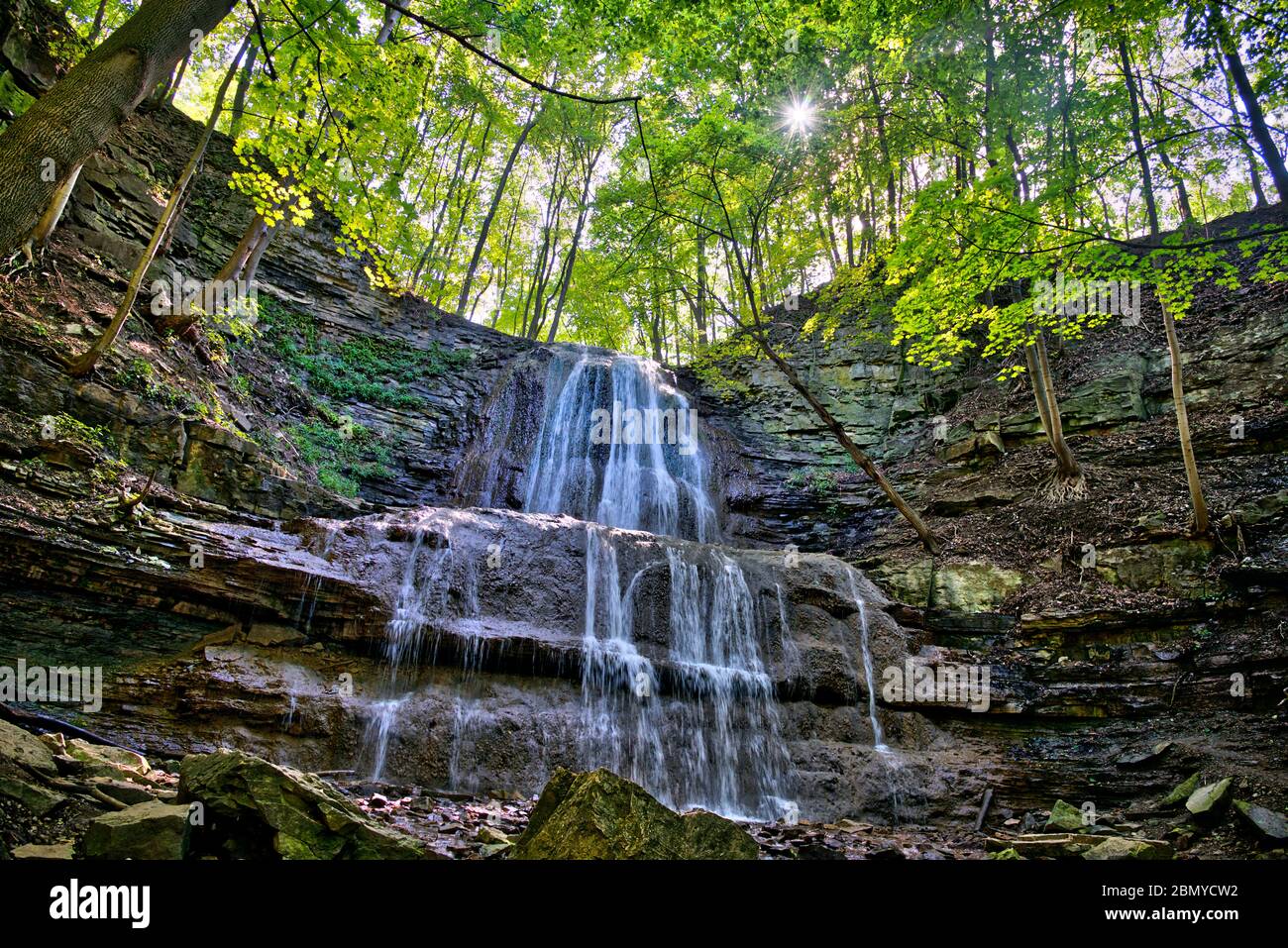 Sunlight and tree in Sherman Falls, Hamilton, Ontario Stock Photo - Alamy