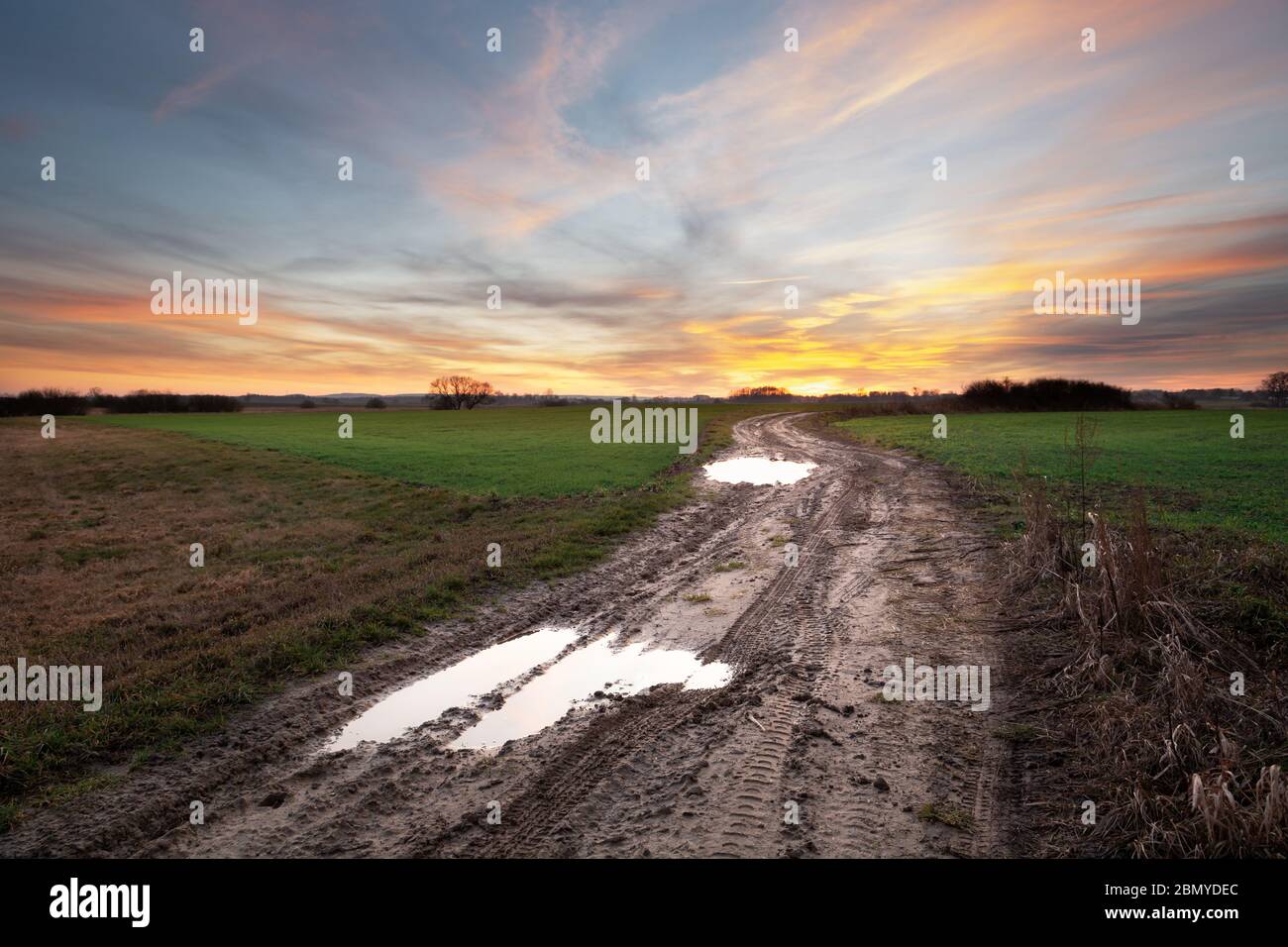 Water puddle rural puddles road hi-res stock photography and images - Alamy