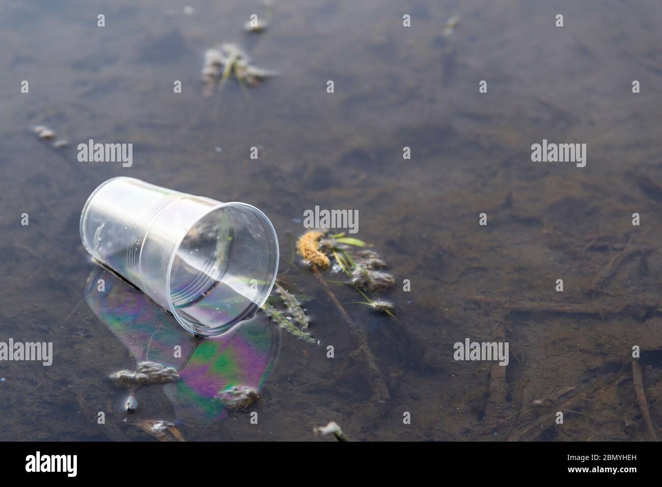 A plastic disposable cup was thrown into the river. Pollution of nature ...