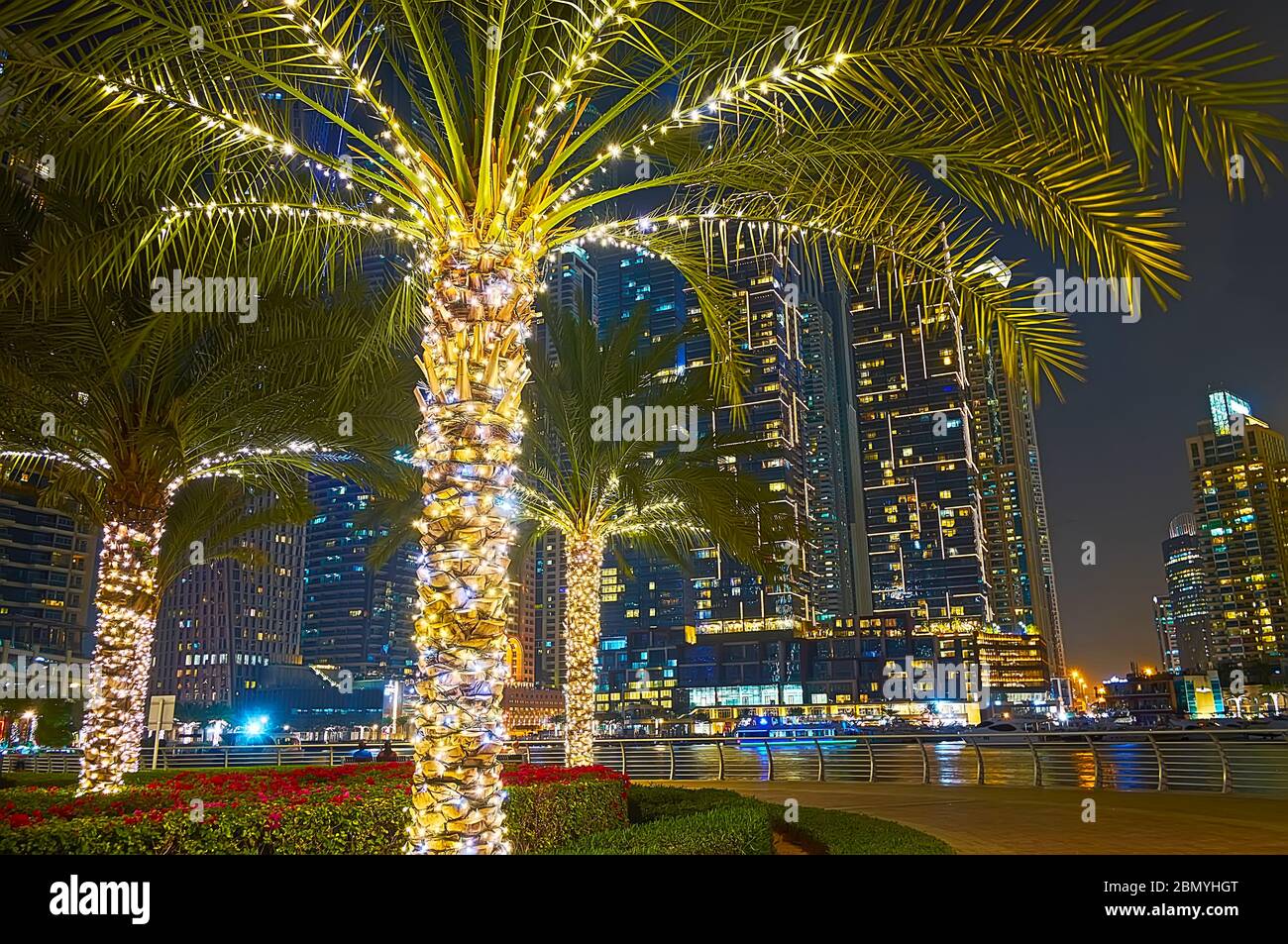 The lush palm trees in park of Dubai Marina are decorated with bright ...
