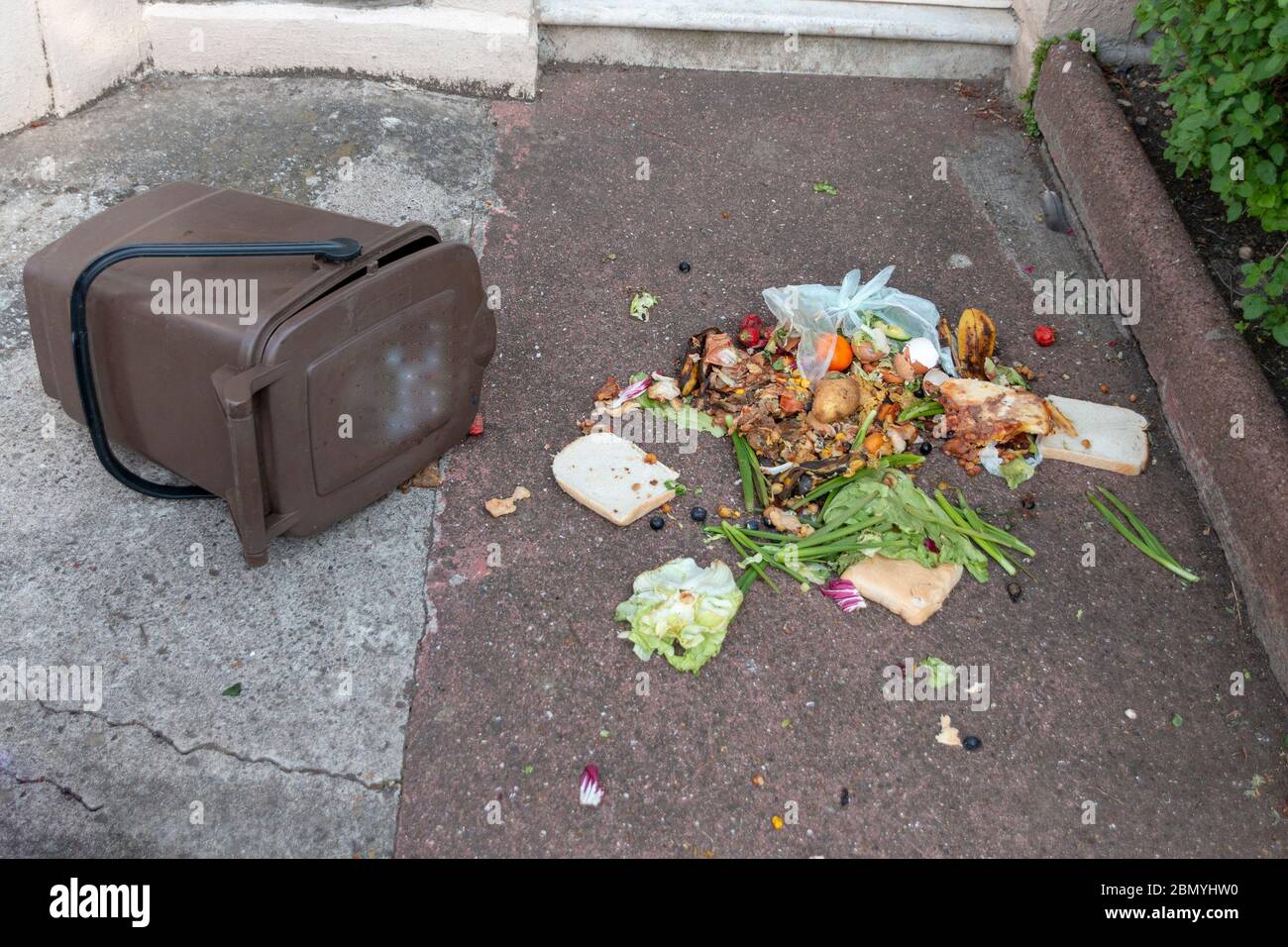 a close up view of a food recycling bucket that has fallen over and the ...