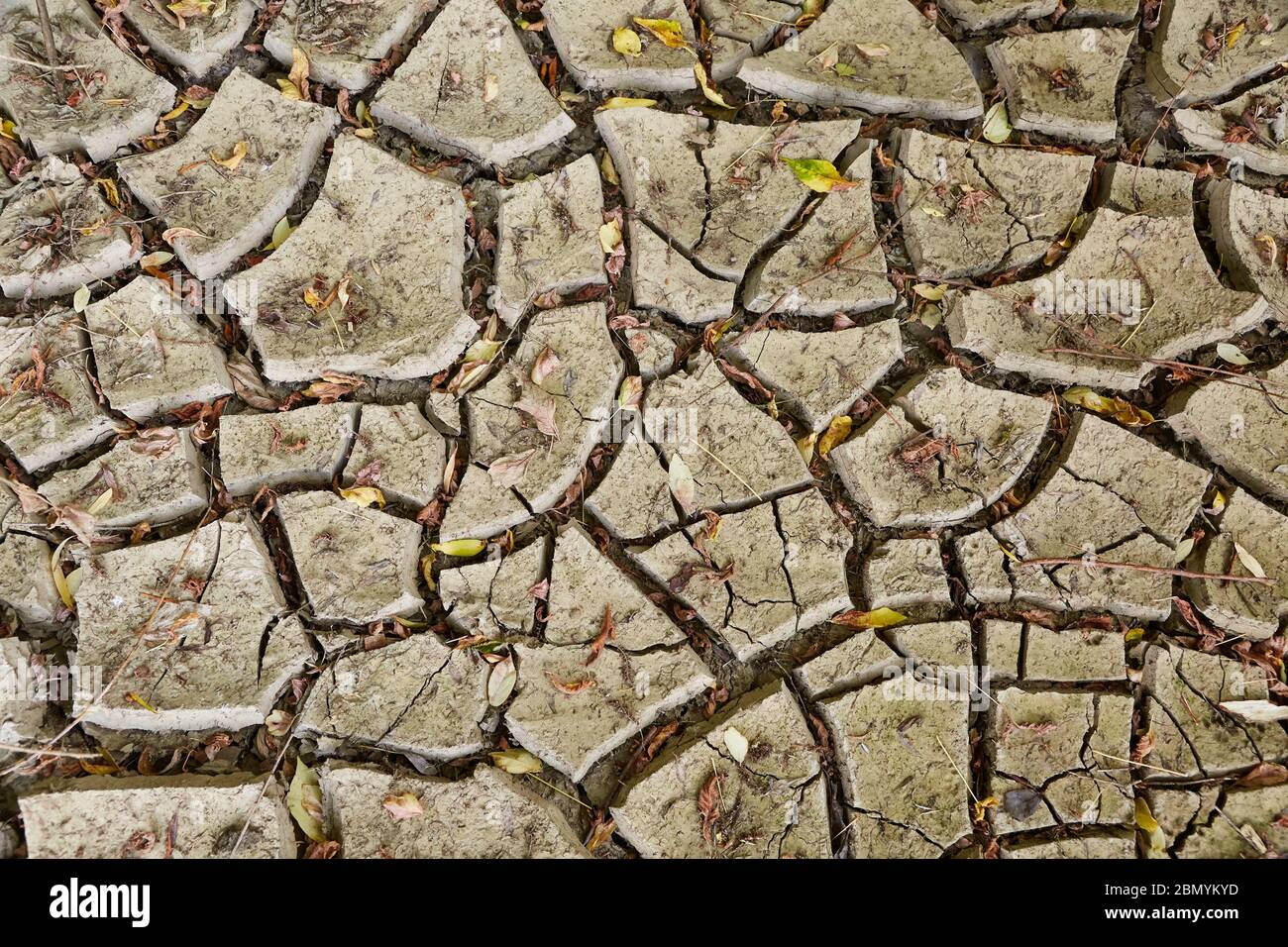 Dry sediment soil cracks appearing Stock Photo - Alamy