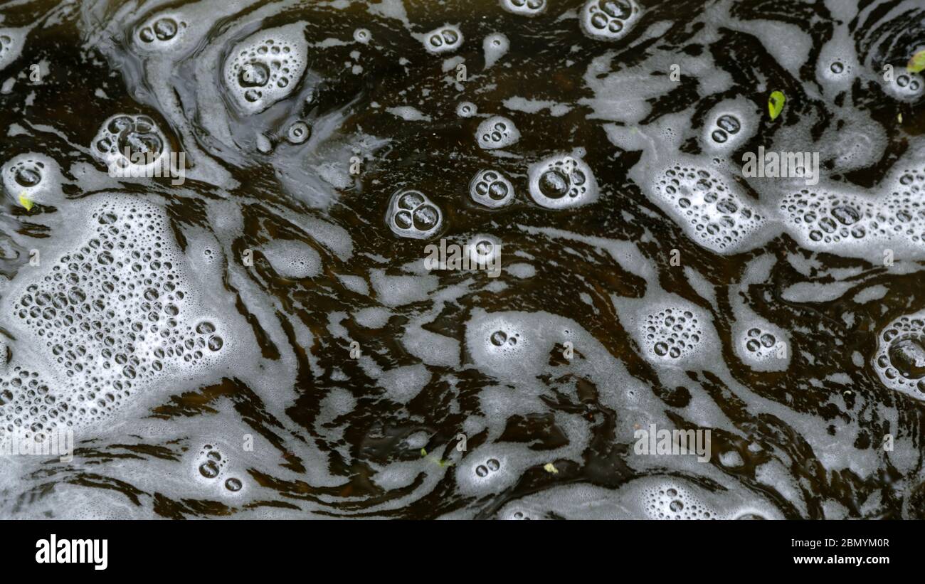 Foamy River Water Bubbles Texture Background Stock Photo - Alamy